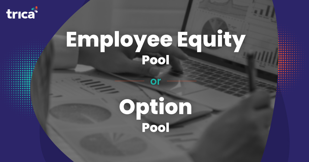 Startup Employee Equity Pool or Option Pool: Which is Best For You ...